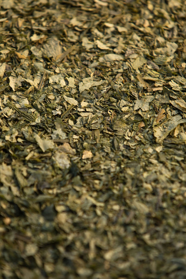 Kelp Sea Salt | Seaweed Infused Salt | Vancouver Island Sea Salt